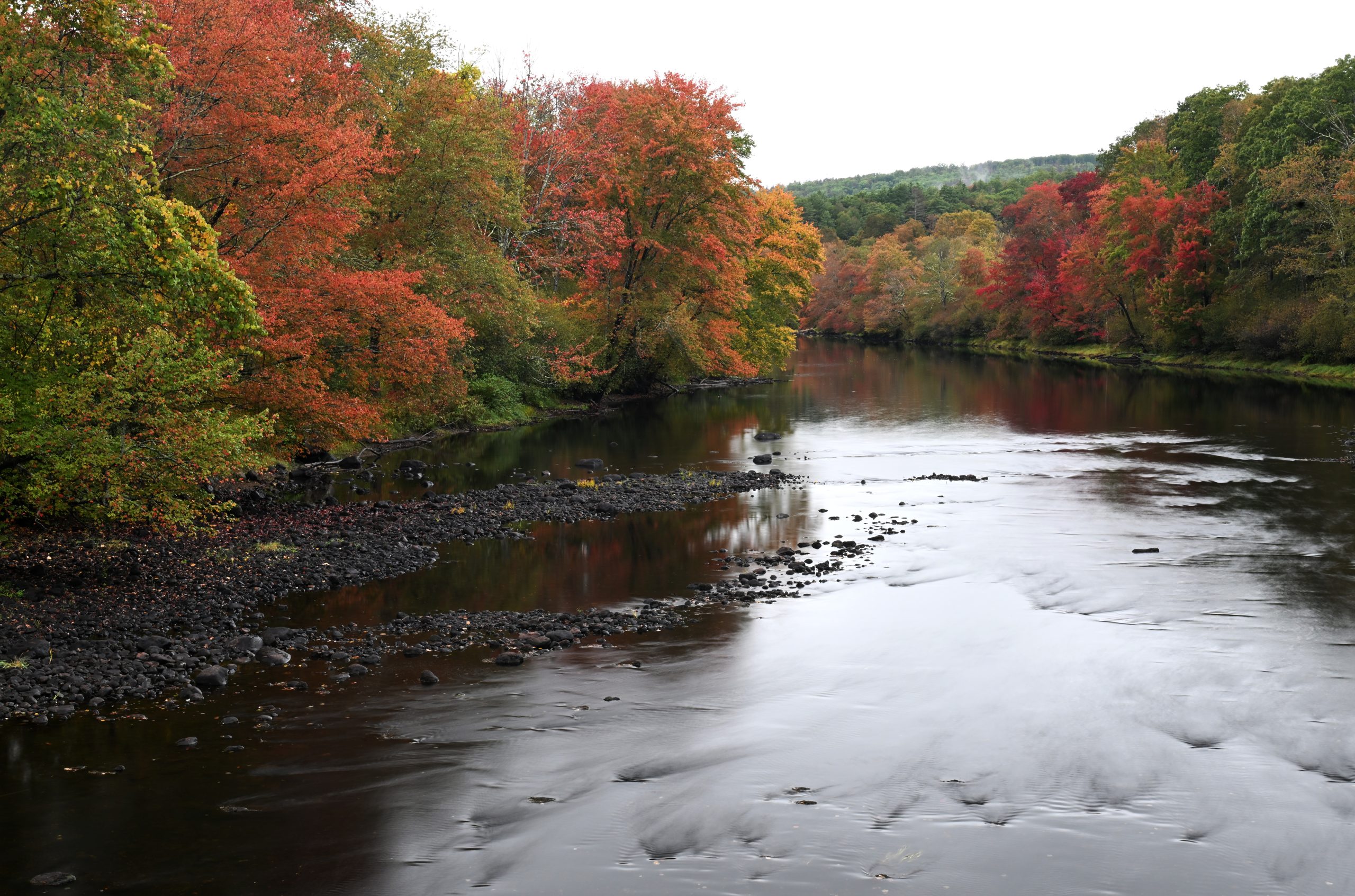 Local experts forecast a slight delay in foliage this fall - Amherst ...